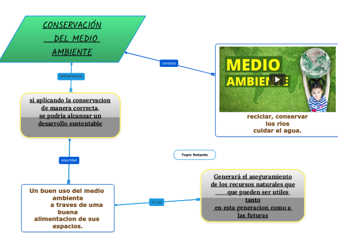 CONSERVACION DEL MEDIO AMBIENTE - Mind Map